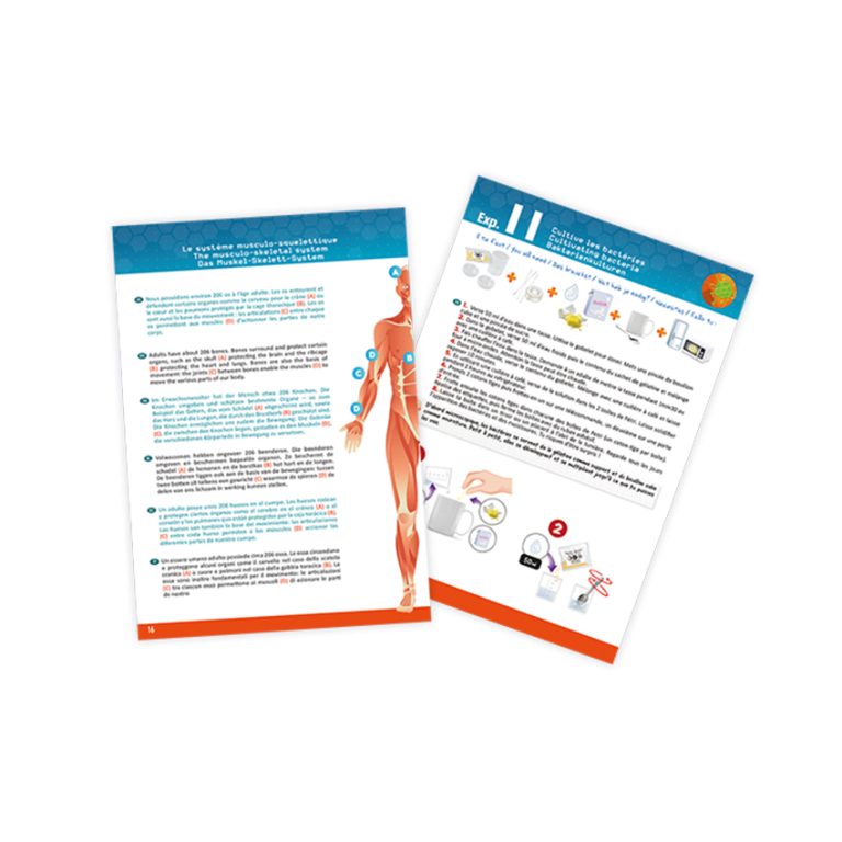 Human Body Anatomy Kit - Experilab