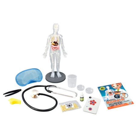 Human Body Anatomy Kit - Experilab