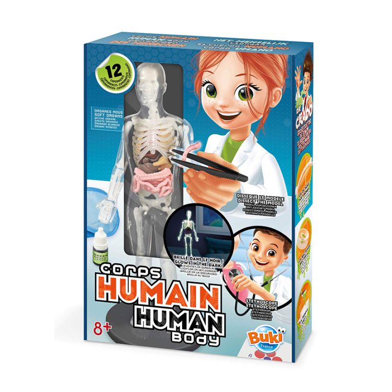 Human Body Anatomy Kit - Experilab